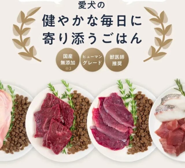 【評判は真実？】ドッグフード「OBREMO(オブレモ)」をレビューしてみた口コミ！